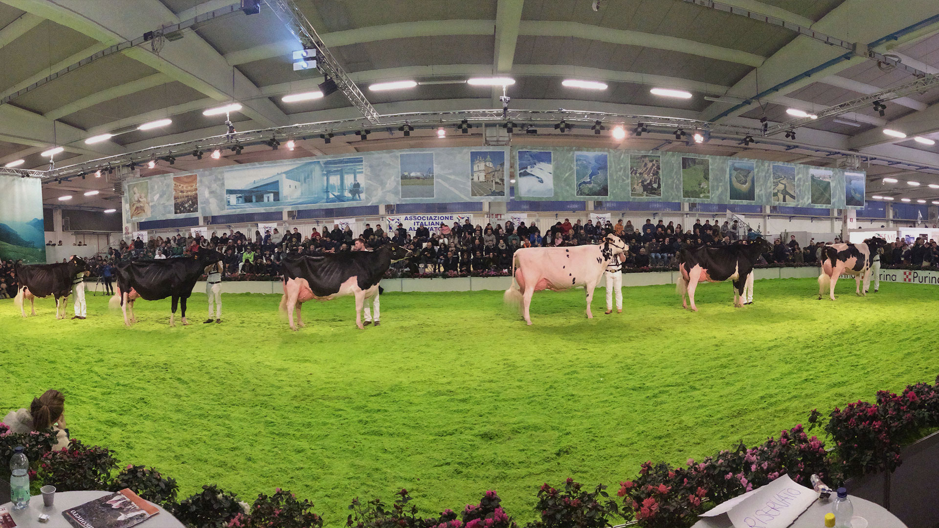 Home - Fiera Agricola Zootecnica Italiana - Fiera Agricola Zootecnica ...