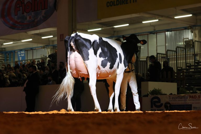 72ª Mostra Nazionale Frisona e Jersey Italiana - Fiera Agricola ...